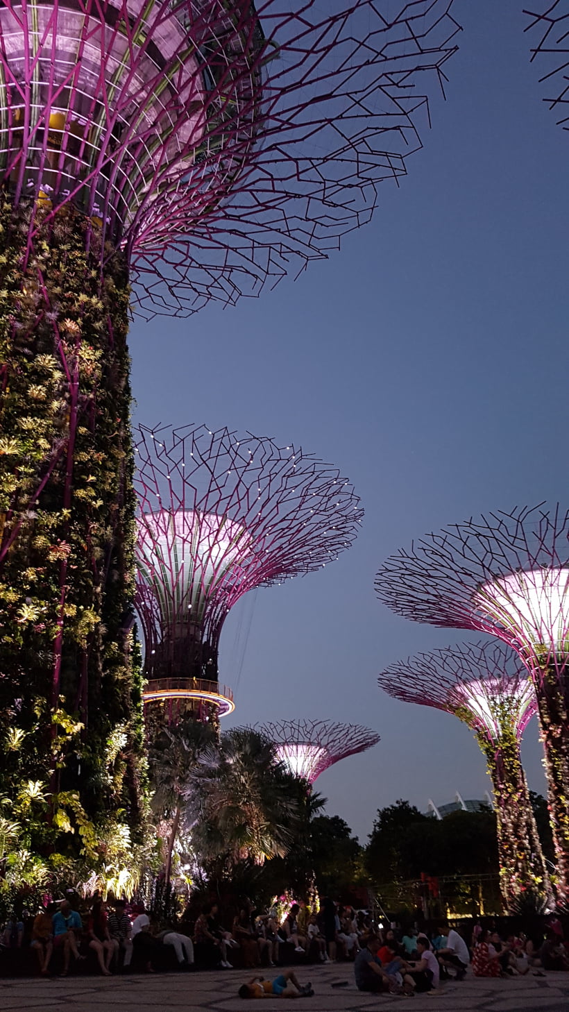 Les "SuperTrees" de Singapour